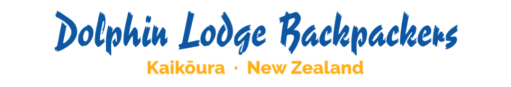 Contact Us | Dolphin Lodge Kaikoura